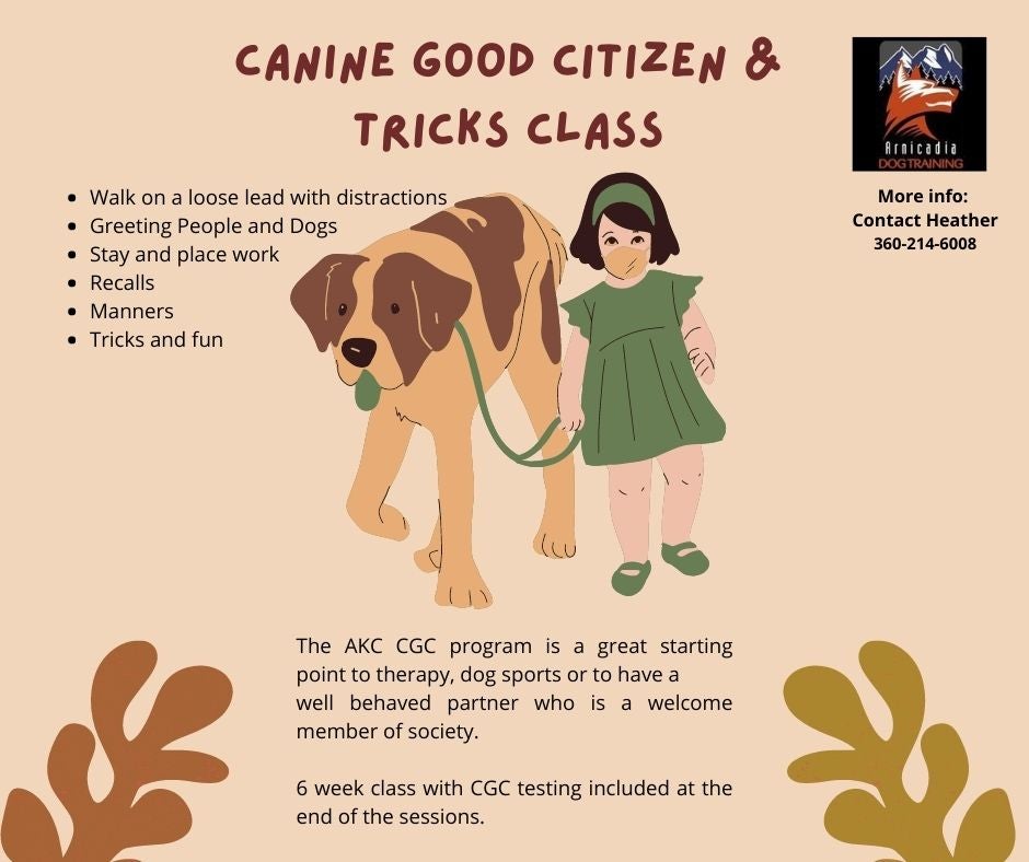 Canine Good Citizen Class April 28 5:00 PM | Discovery Canine ...